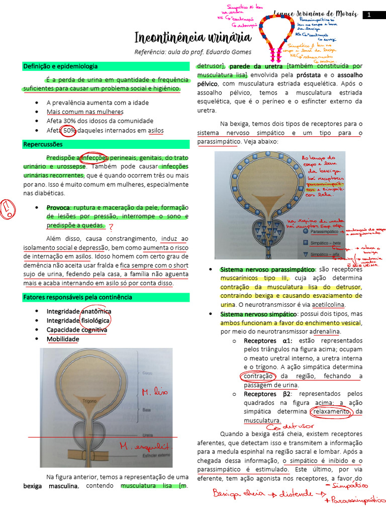 Incontinência Urinária | PDF | Micção | Medicina Clínica