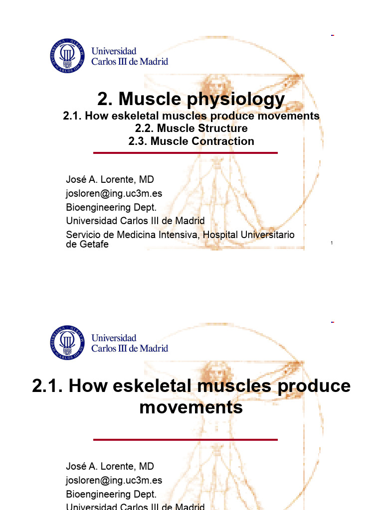 2.1. Muscle Physiology- How Eskeletal Muscles Produce Movements 2023 | PDF | Skeletal Muscle ...