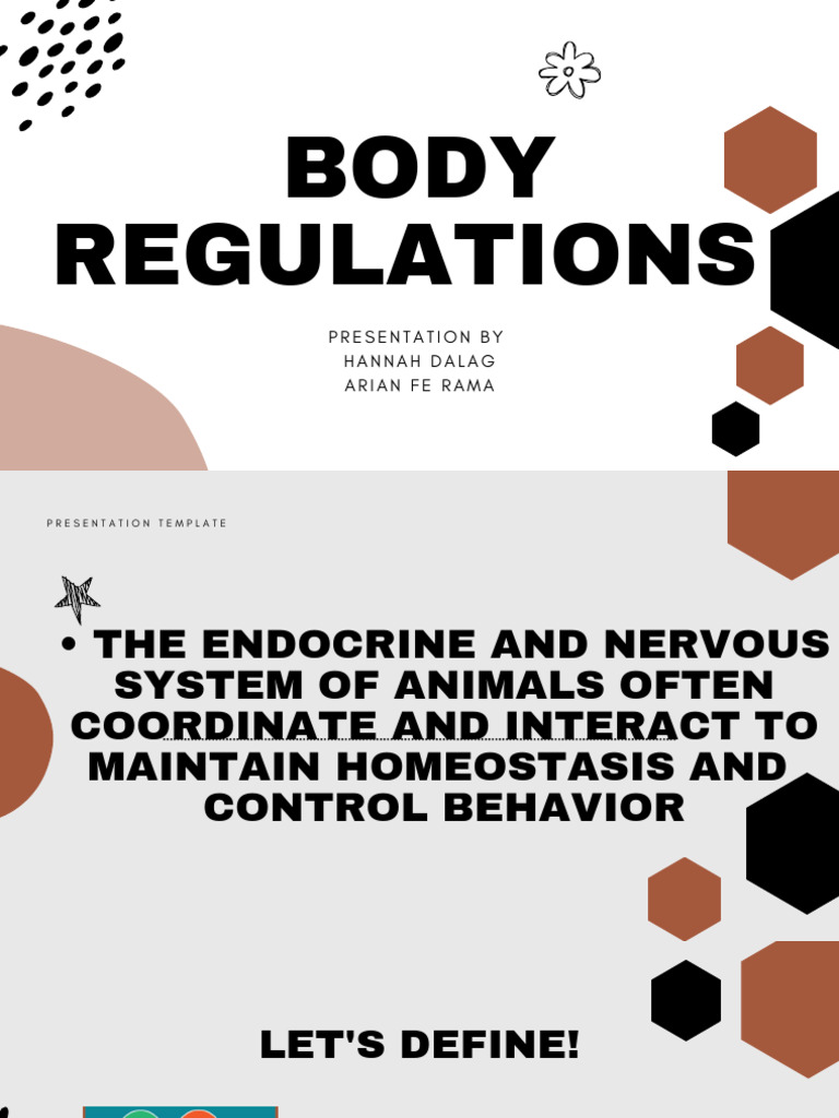 Body Regulations | PDF | Nervous System | Hormone