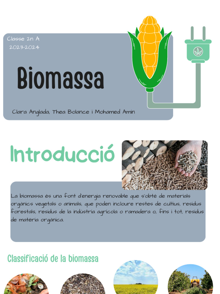 Biomassa | PDF