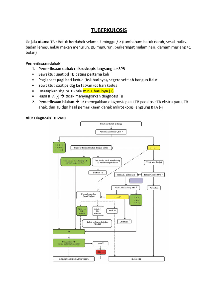 Tuberkulosis | PDF | Pengembangan Diri