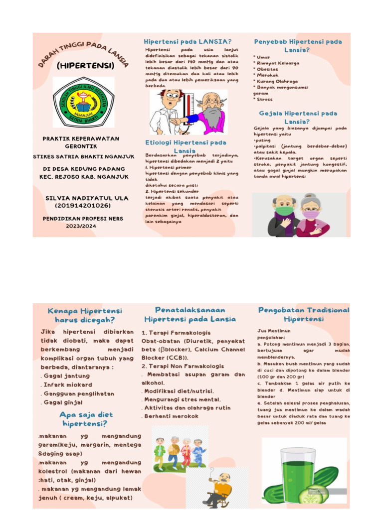 Leaflet Hipertensi Lansia | PDF