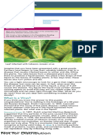 Blotter Test Method | PDF | Seed | Germination