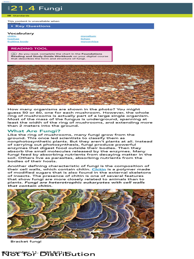 Biology Savvas Fungus 21.4 | PDF