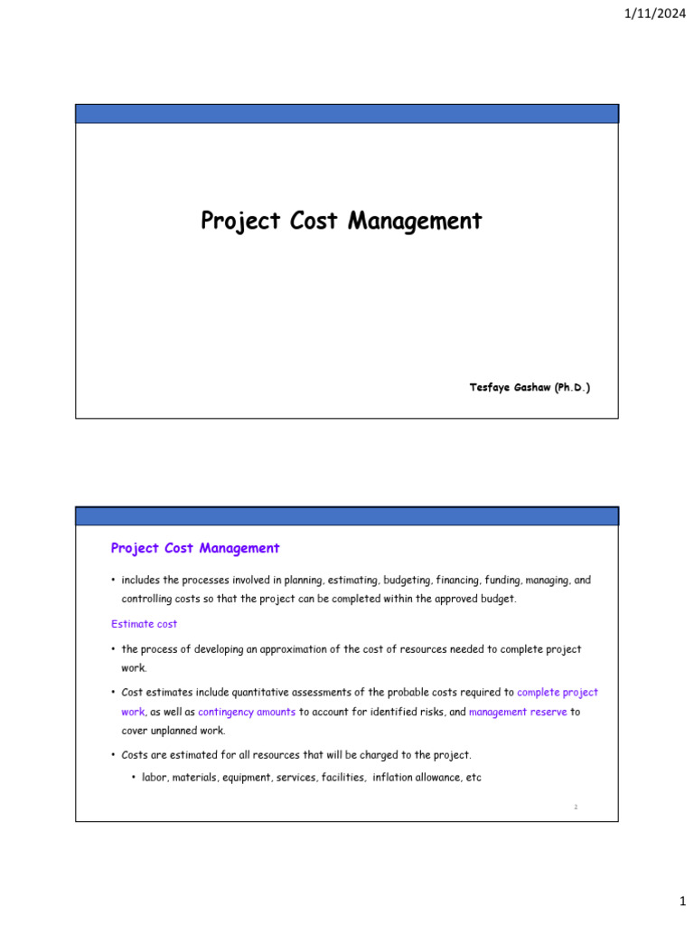 9 Project Cost Management | PDF