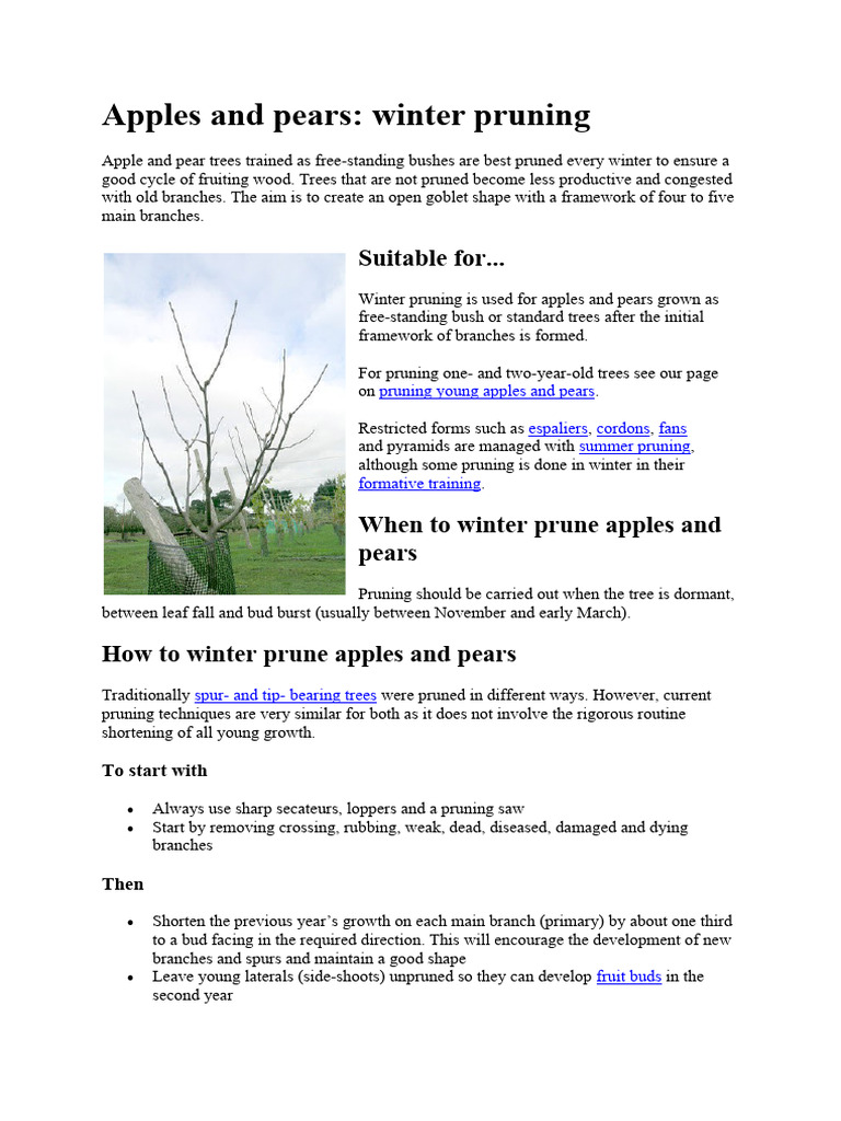 Pruning | PDF | Home & Garden