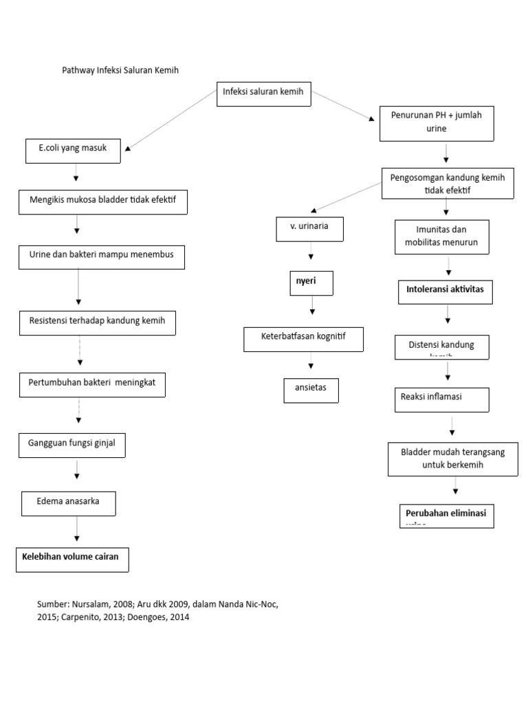 Pathway Infeksi Saluran Kemih | PDF