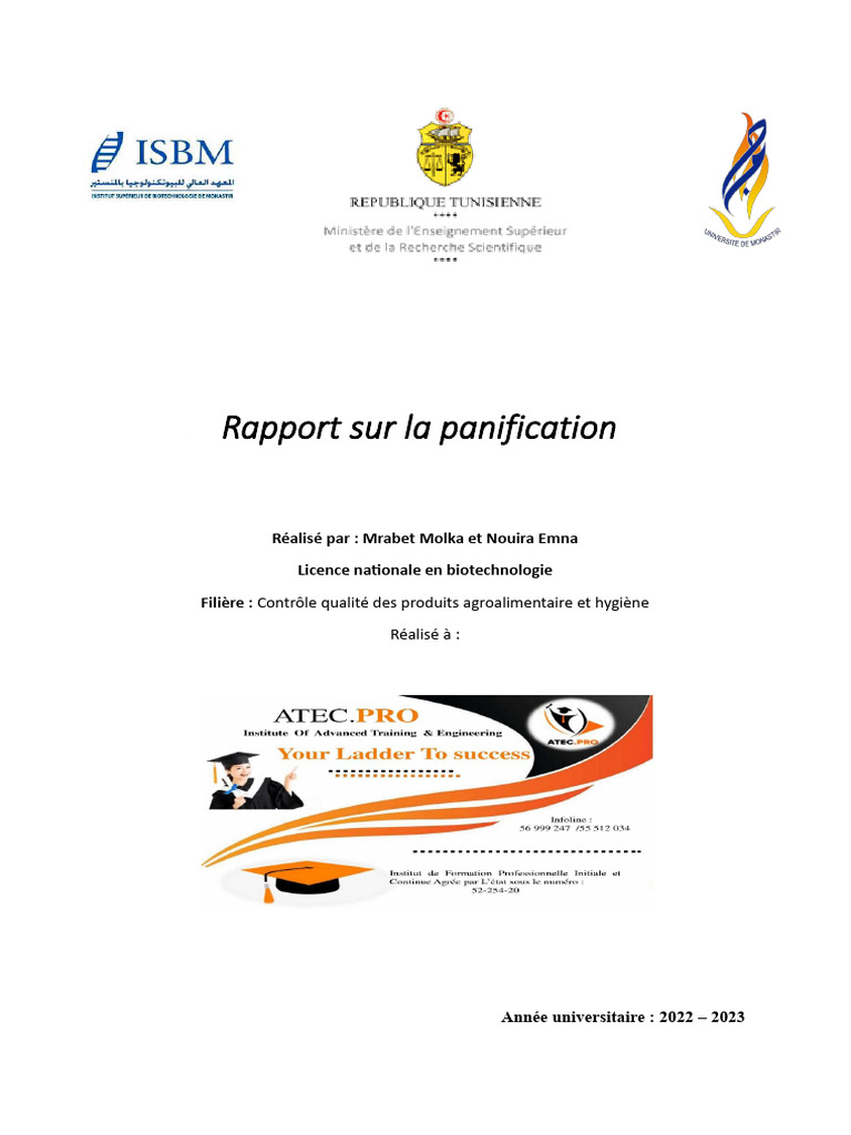 Rapport sur la Panification 2022-2023 | PDF | Pains | Gluten