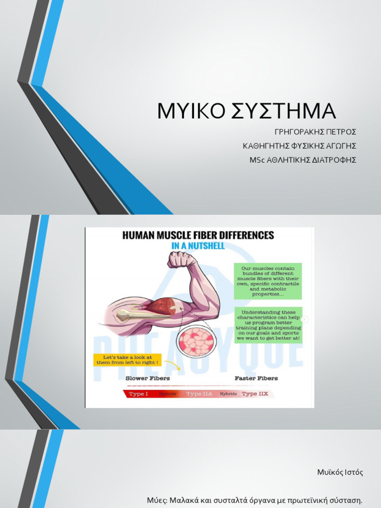 ΜΥΙΚΟ ΣΥΣΤΗΜΑ | PDF