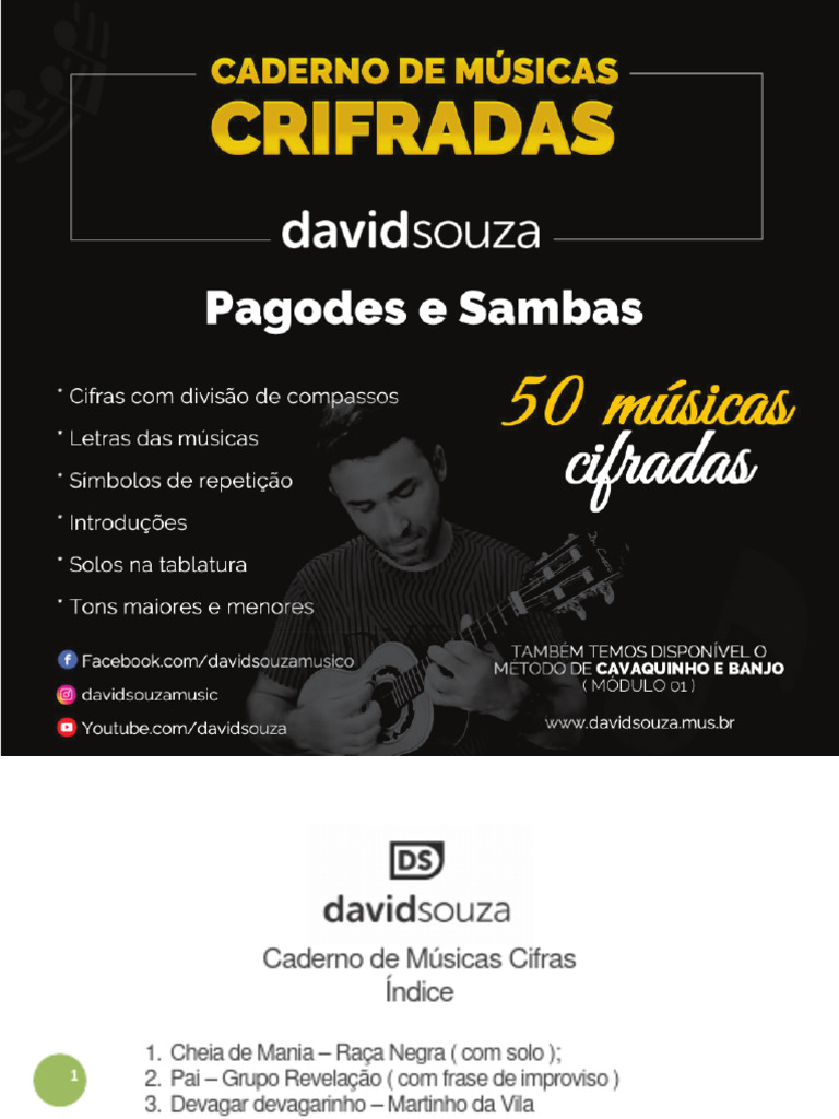 David Souza | PDF