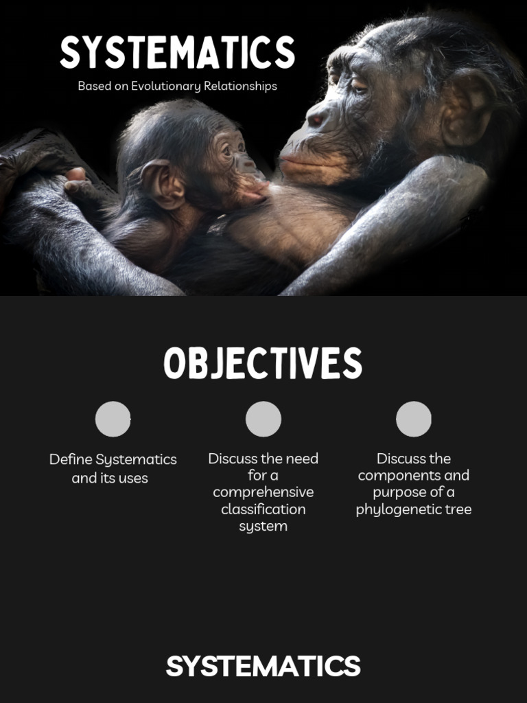 SYSTEMATICS | PDF | Phylogenetic Tree | Hominidae