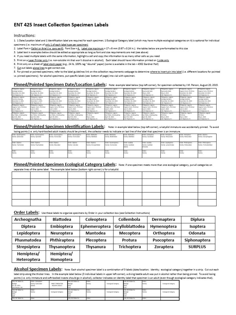 Insect Specimen Labeling Guide | PDF | Insects | Arthropods