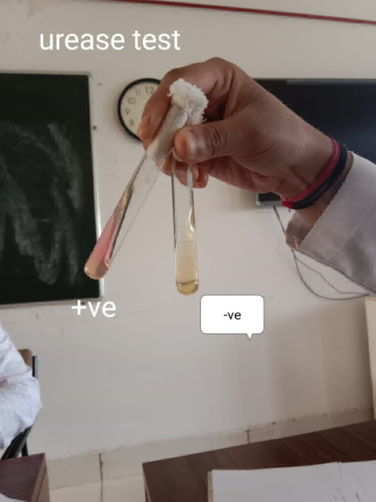 Micro Spotting | PDF