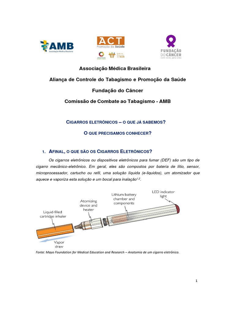 Afinal o Que Sao Os Cigarros Eletronicos | PDF | Cigarro eletrônico ...