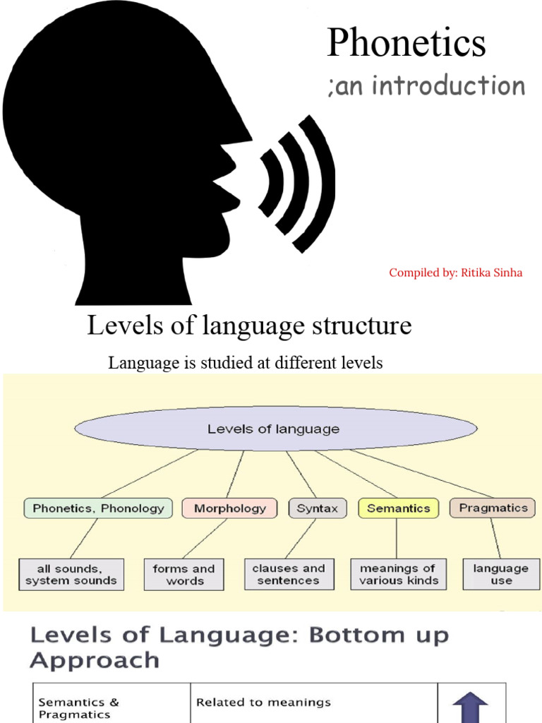 Phonetics Introduction | PDF
