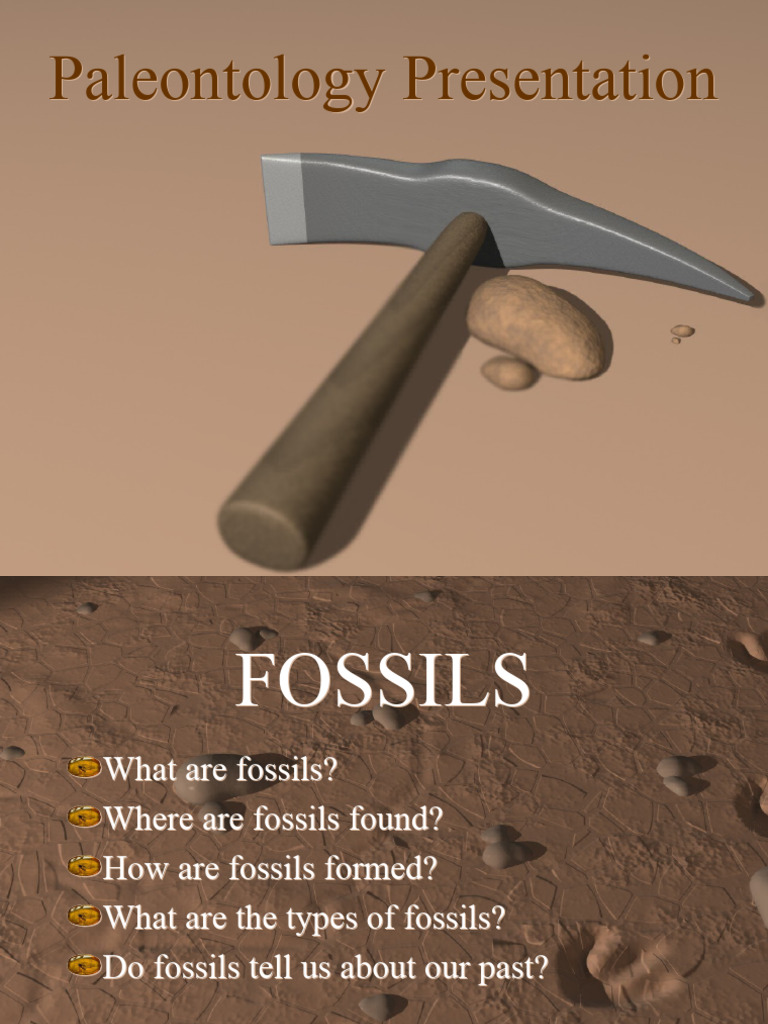 Fossils PowerPoint | PDF | Fossil | Sedimentary Rock