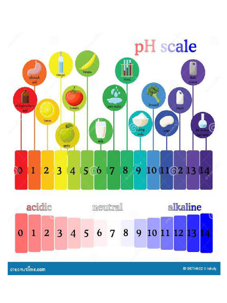 PH Scale Chart | PDF
