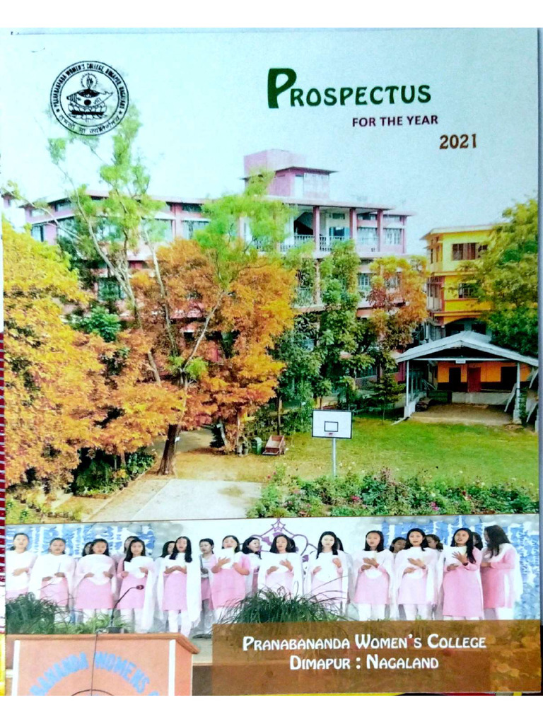Prospectus 1 | PDF