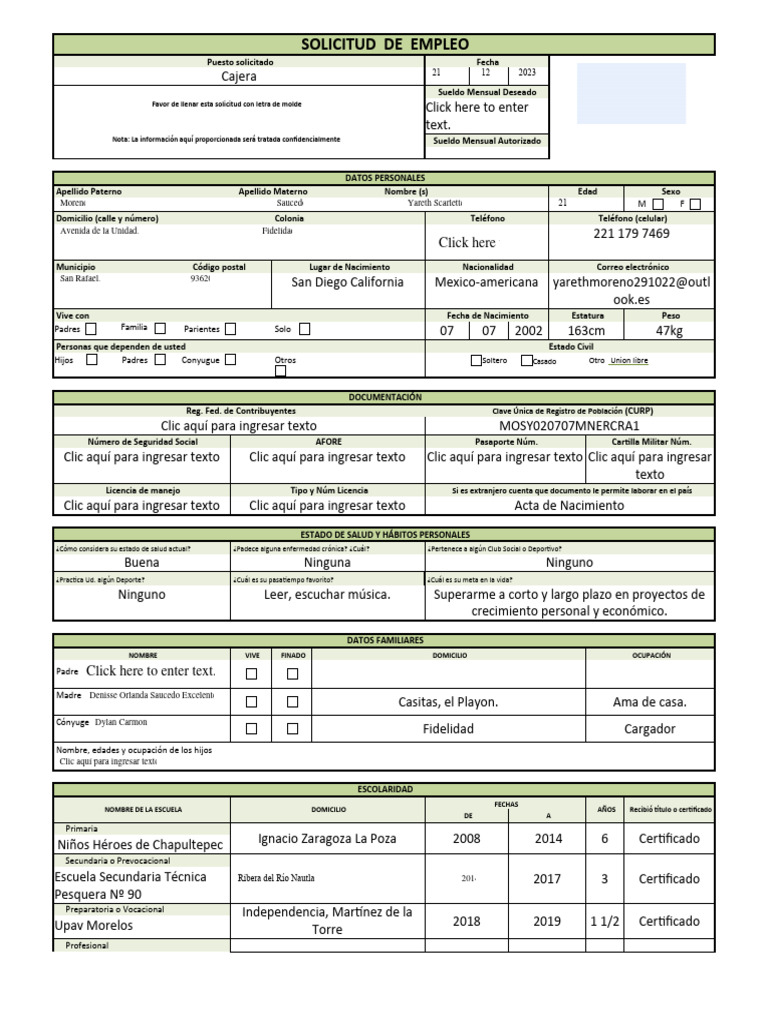 Formato Solicitud de Empleo Word | PDF