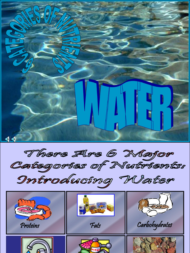 Water Summary | PDF