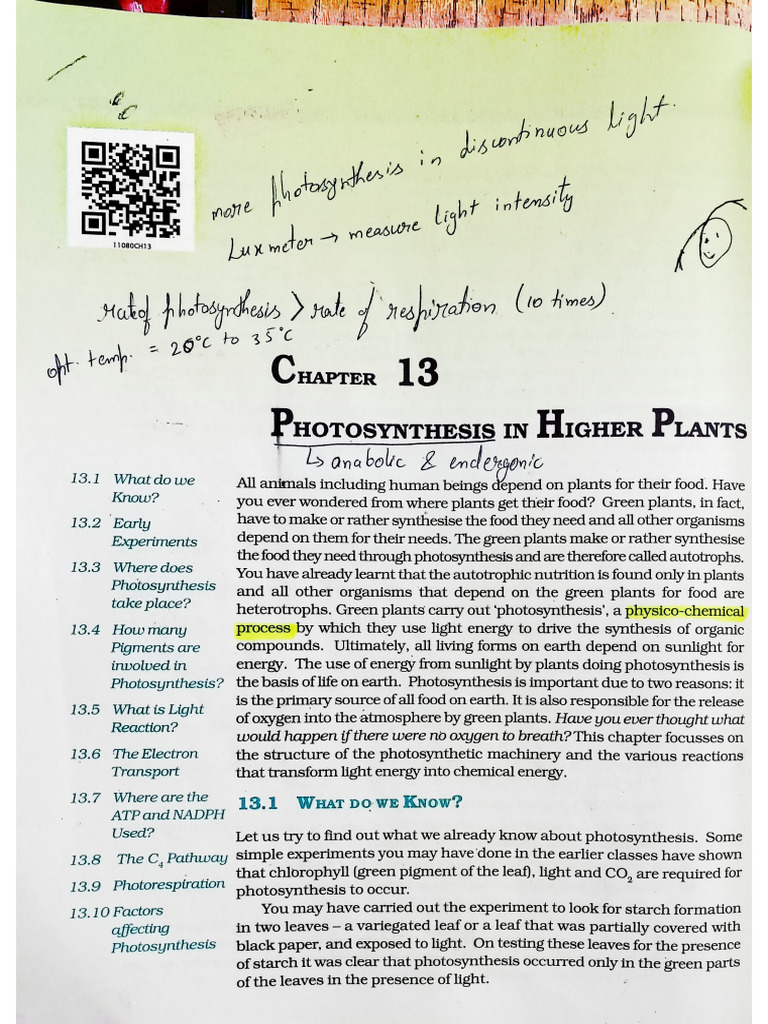 Photosynthesis in Plants | PDF