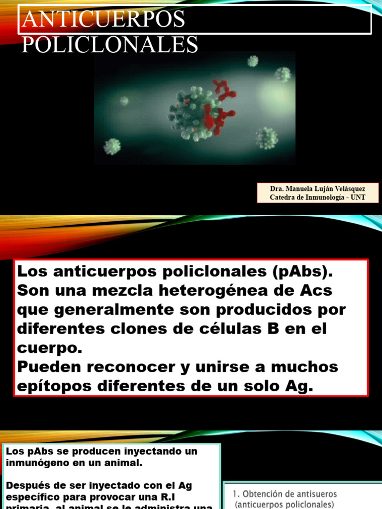 Anticuerpos Monoclonales y Policlonales | PDF | Anticuerpo | Anticuerpo Monoclonal