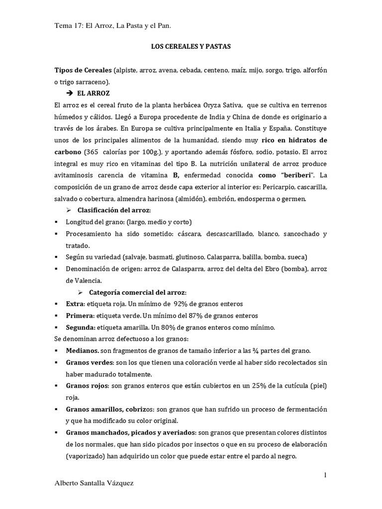 Arroz, Pasta y Pan: Tipos y Usos | PDF