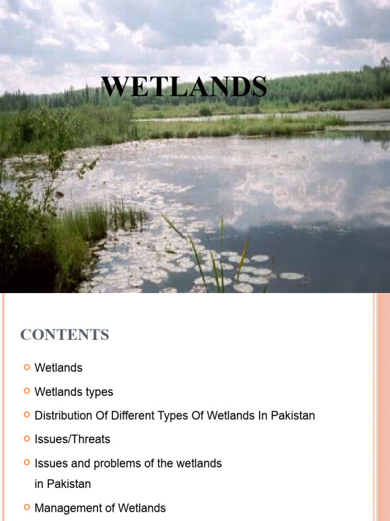 Wetland | PDF | Wetland | Marsh