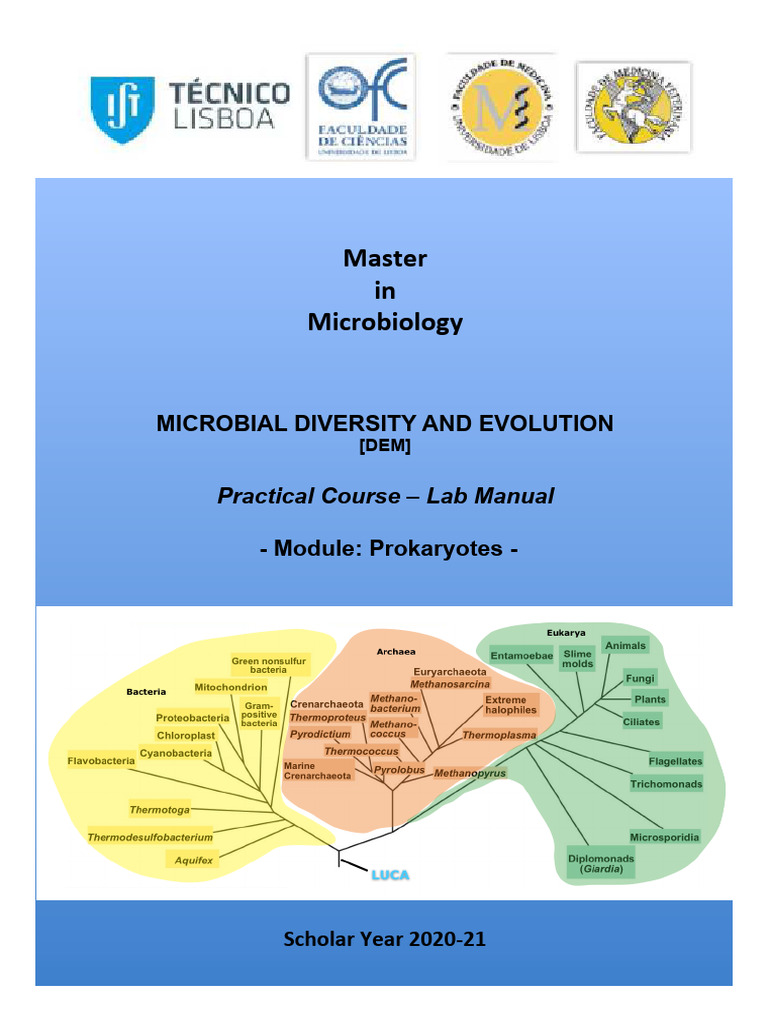DEM Practical Course - Lab Manual | PDF | Bacillus | Staining