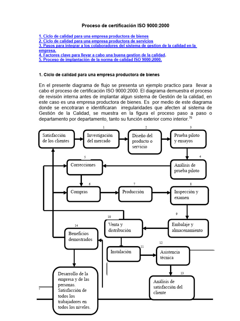 Proceso Iso9000 | PDF | Calidad (comercial) | Gestión de la calidad