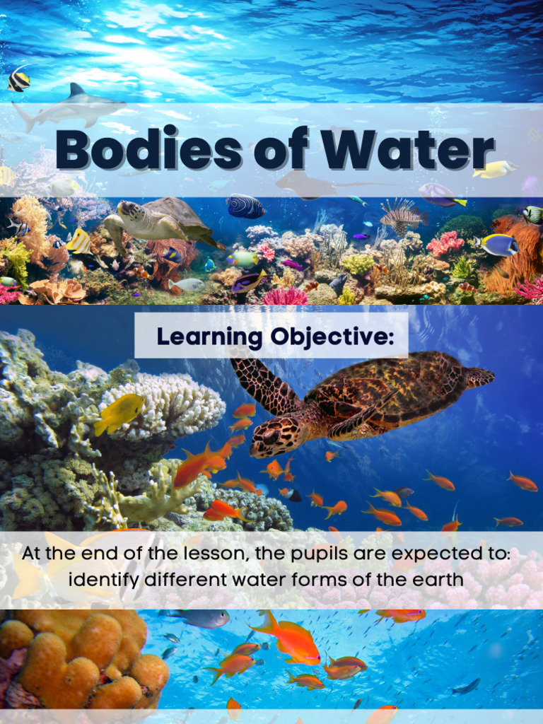 Types of Earth's Water Bodies | PDF