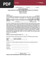 Carta Responsiva de Menor de Edad | PDF | Invalidez | Menor (ley)