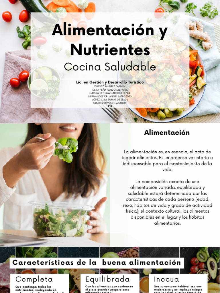 Alimentacion y Nutrientes Equipo 1 | PDF | Alimentos | Nutrientes