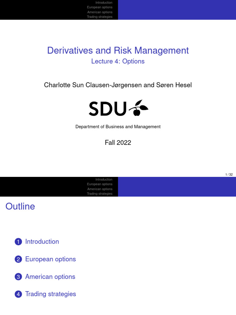 Lecture04 Options Basics Handout | PDF | Option (Finance) | Put Option