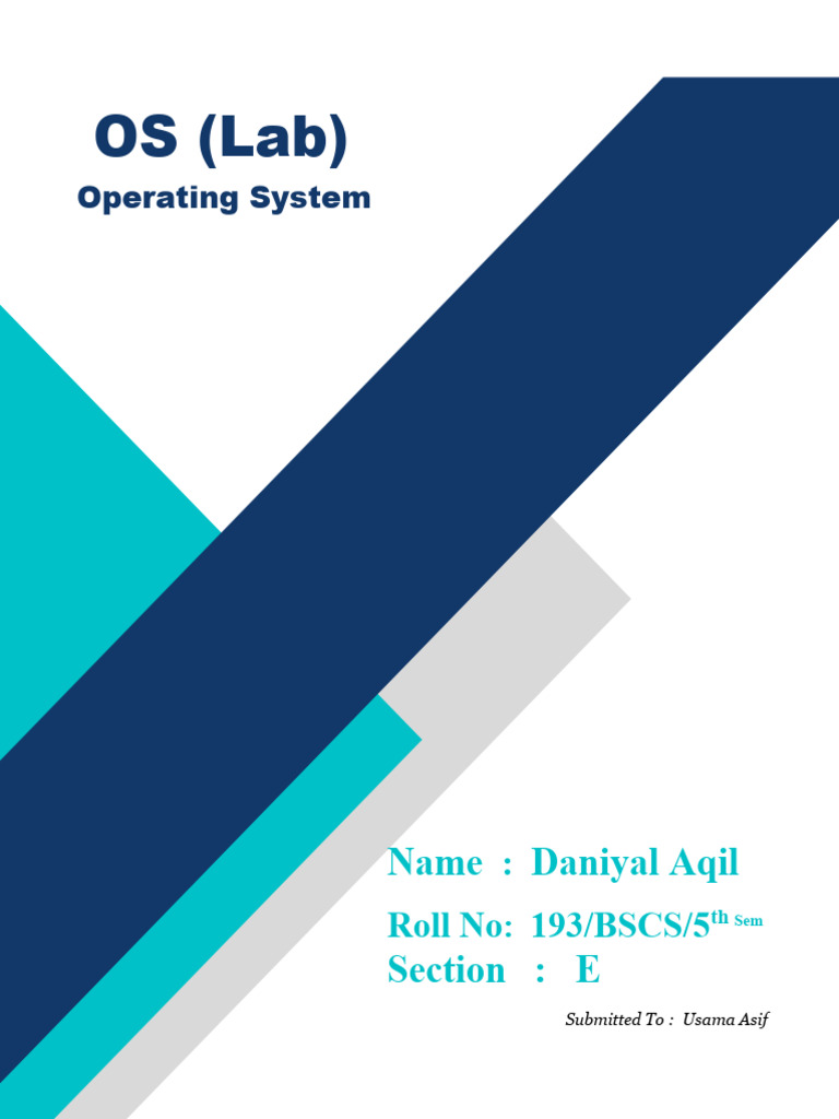 OS Assignment 1 (Daniyal Aqil 193 (E) ) | PDF | Software Engineering | Operating System Technology