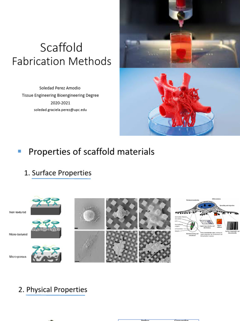 Scaffold Fabrication Methods | PDF