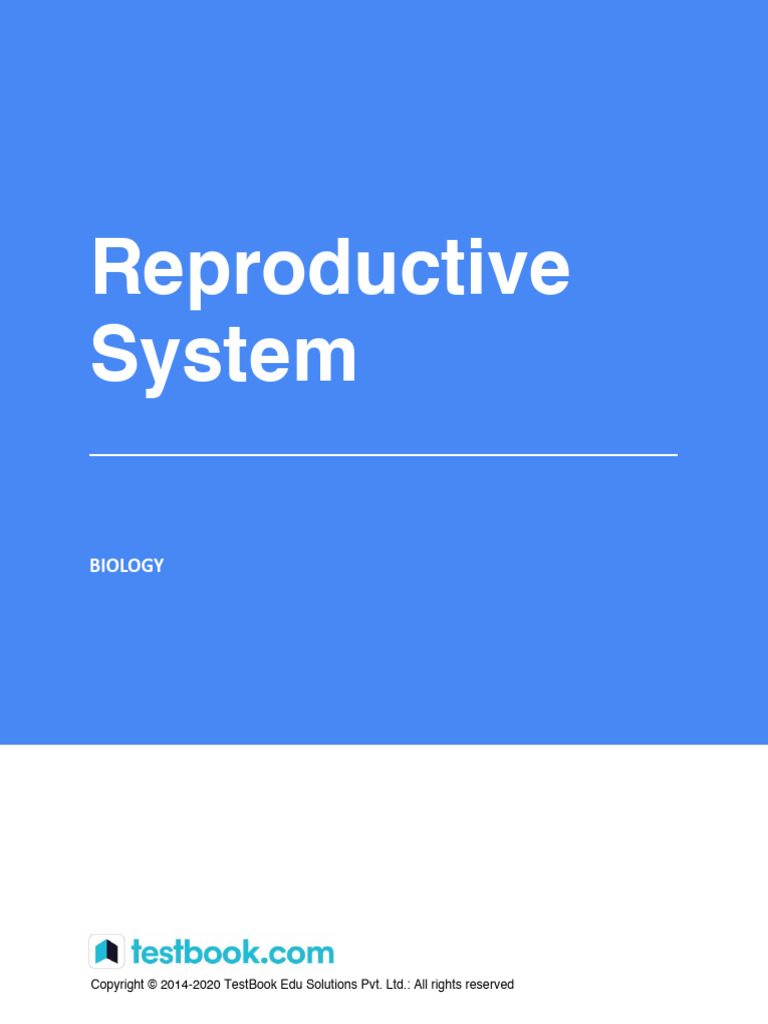 Reproductive System - Study Notes | PDF | Menstrual Cycle | Testicle