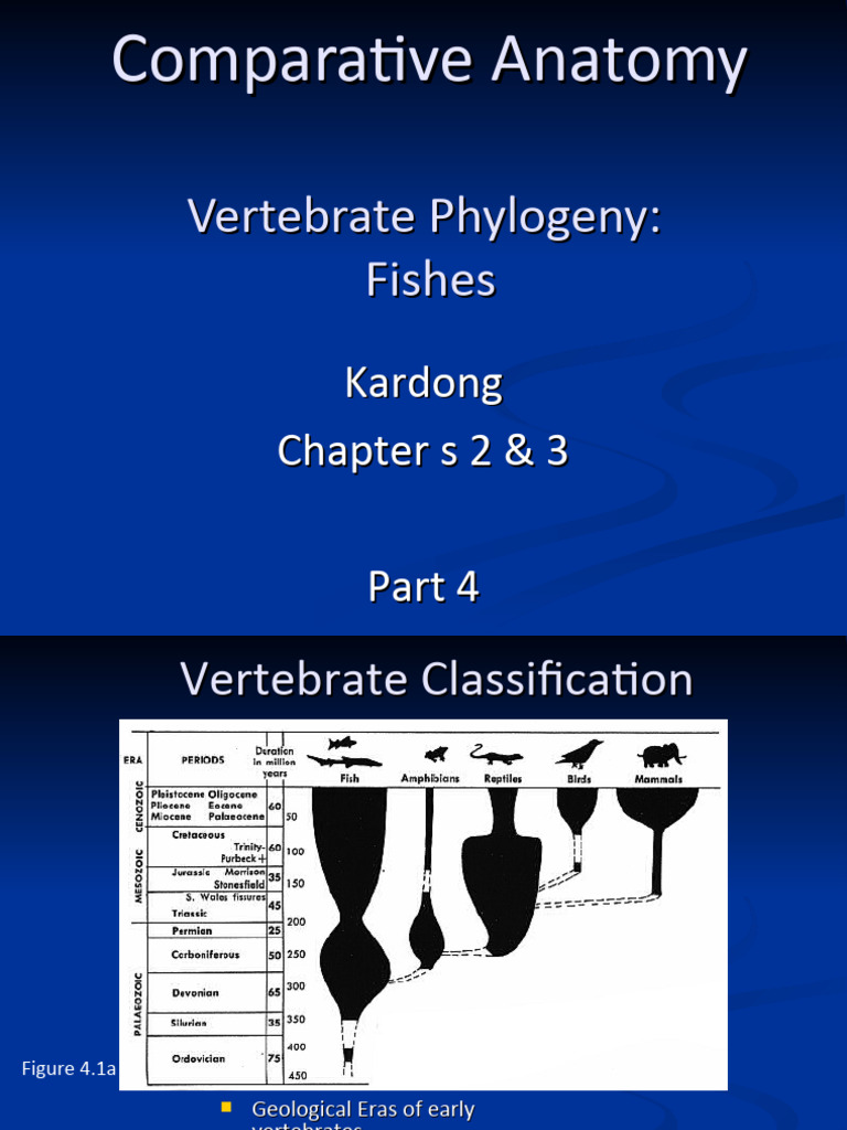 Vertebrate Phylogeny: Fishes | PDF | Fish | Vertebrates