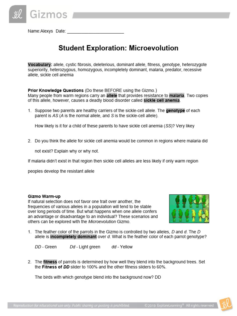 Microevolution SE | PDF | Zygosity | Allele