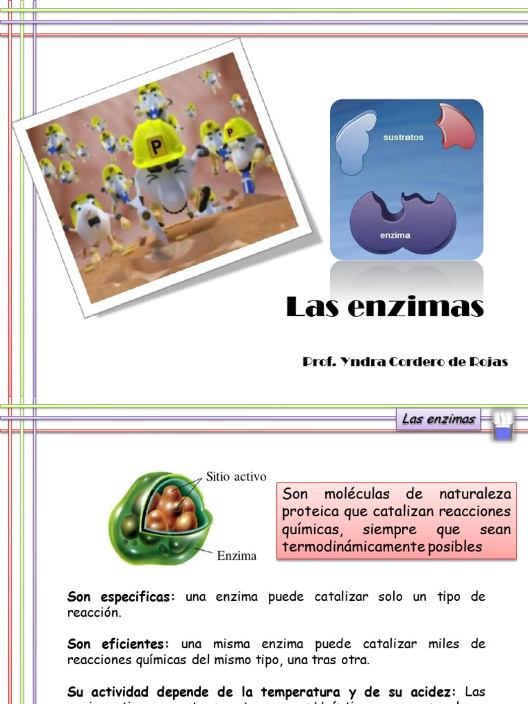 Tema #9 Enzimas 3 | PDF | Enzima | Sustrato (Química)