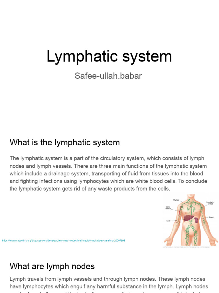 The Lymphatic System Complete | PDF | Lymphatic System | Blood Vessel