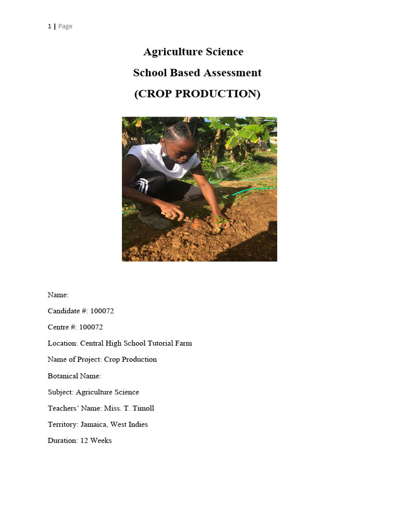 Crop Production Sample SBA | Download Free PDF | Fertilizer | Soil