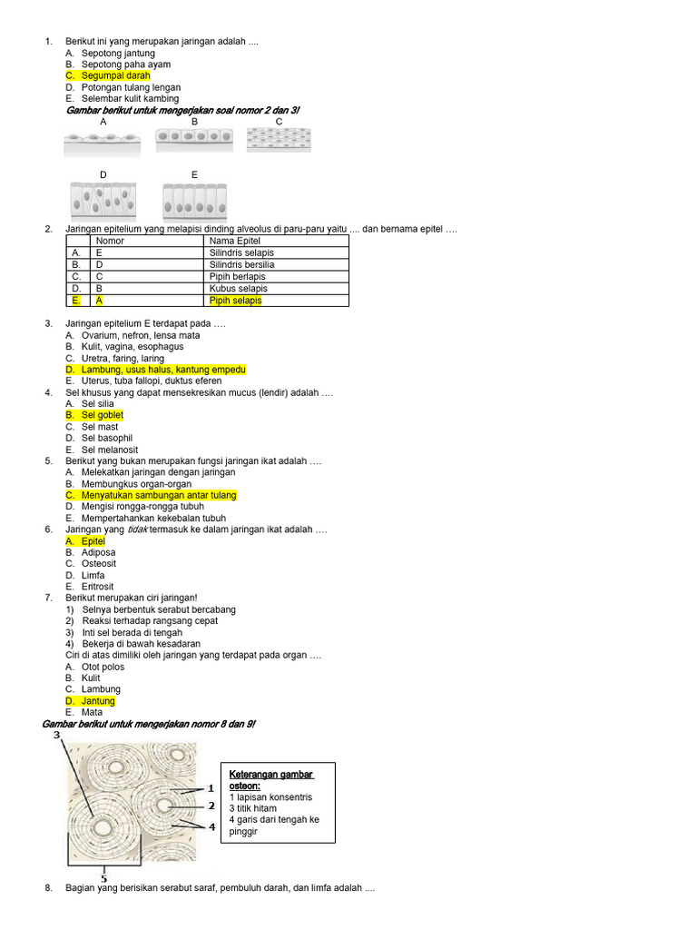 PTS Ganjil Biologi Kelas Xi 2023-2024 | PDF