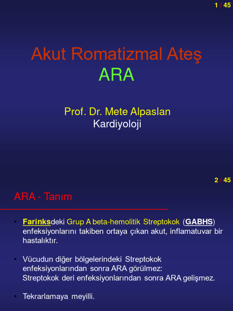 +mete Alpaslan-ARA - 230428 - 125506 | PDF