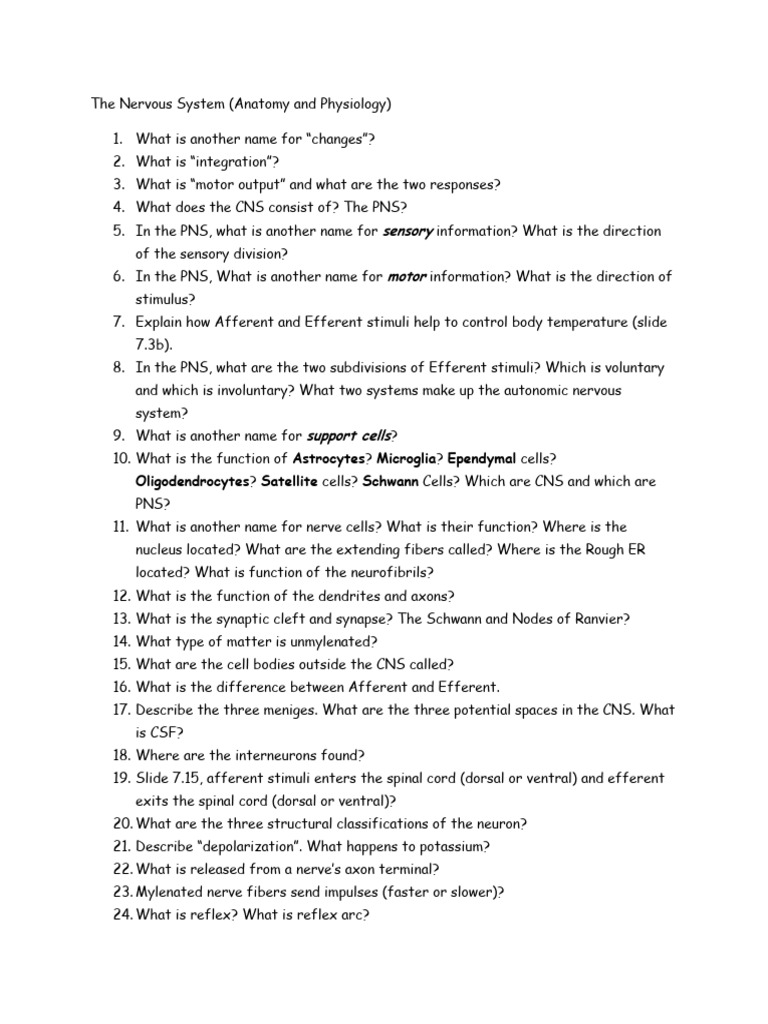 NS PPT Guided Notes | PDF