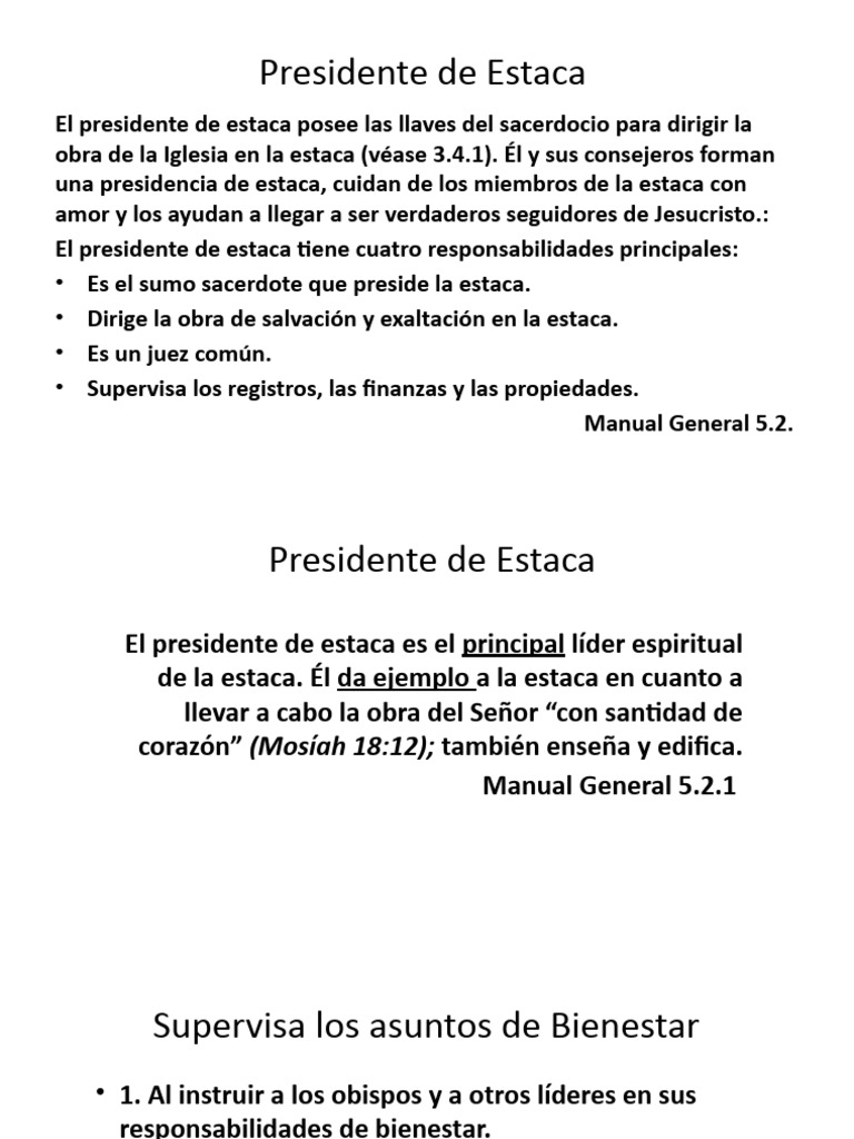 9 Auditoria Capacitacion Nuevas Presidencias Estaca | PDF | Auditoría ...