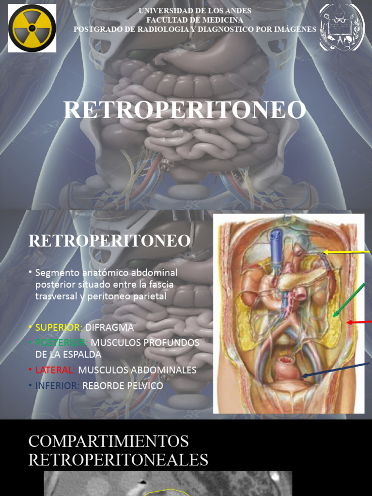 Anatomía y Patología del Retroperitoneo | PDF | Ganglio linfático | Riñón