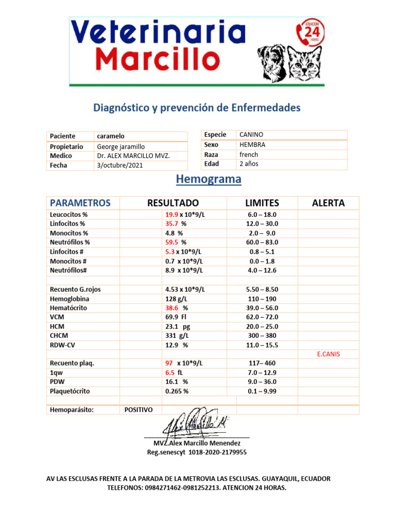 Hemograma 1pdf Leucocito Sistema Inmune