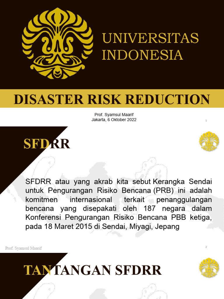 DISASTER RISK REDUCTION | PDF | Disaster Risk Reduction | Risk