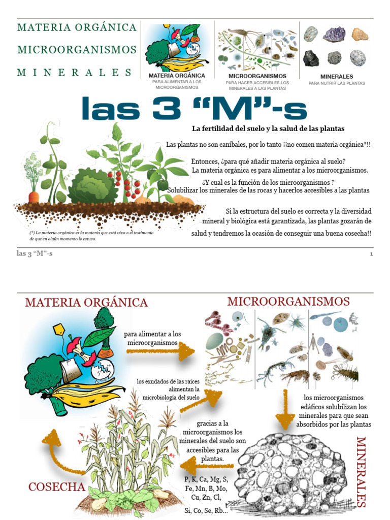 Importancia de la Materia Orgánica en Suelos | PDF | Suelo | Plantas